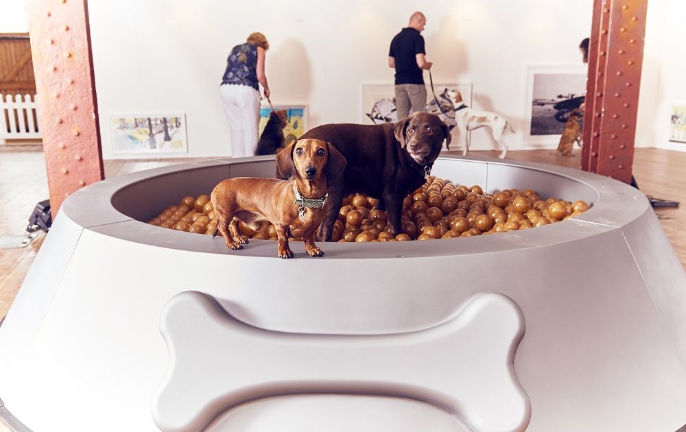 Expo chiens - Dominic Wilcox expo chiens