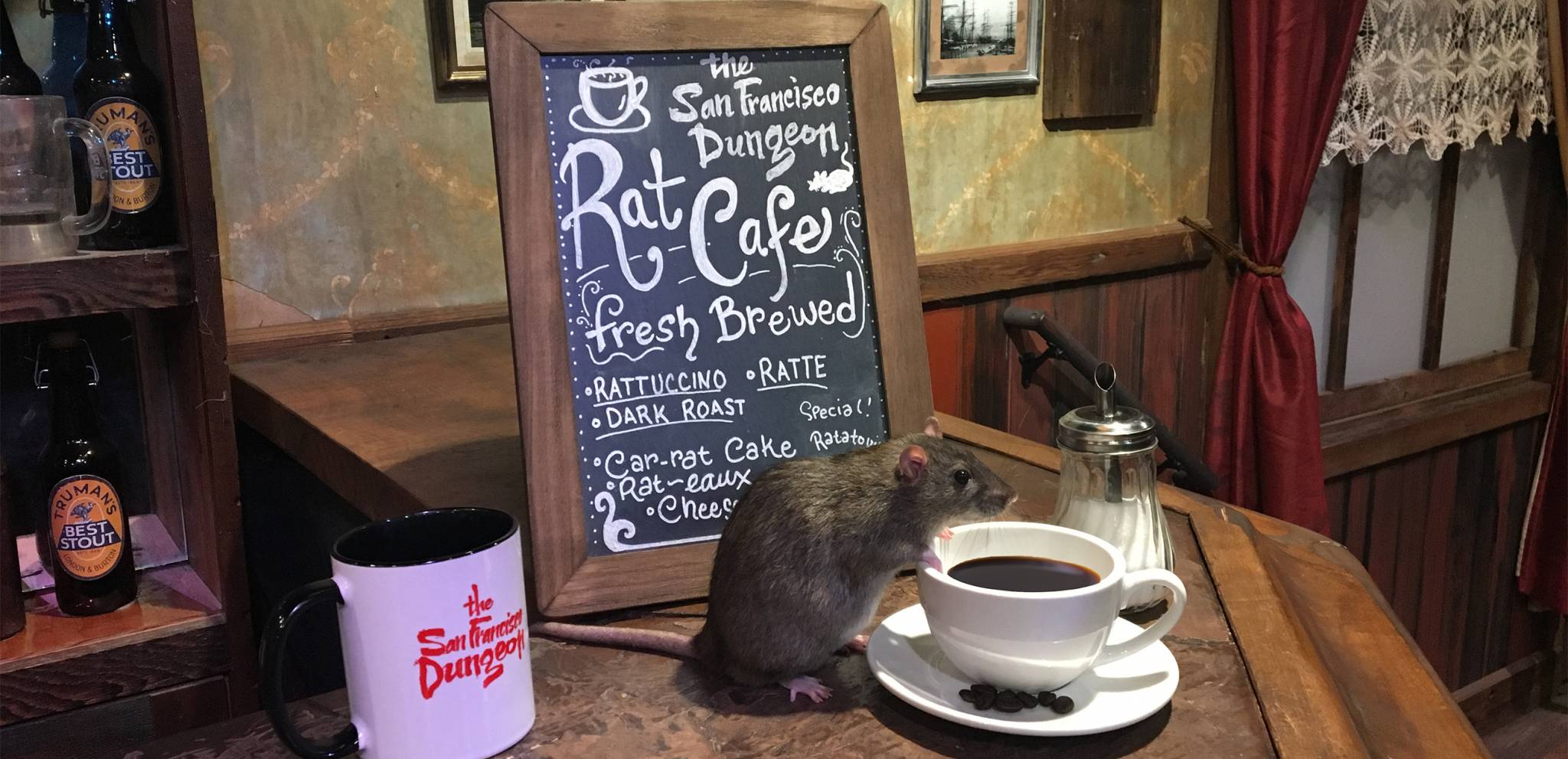 Un bar à rats ouvre à San Francisco