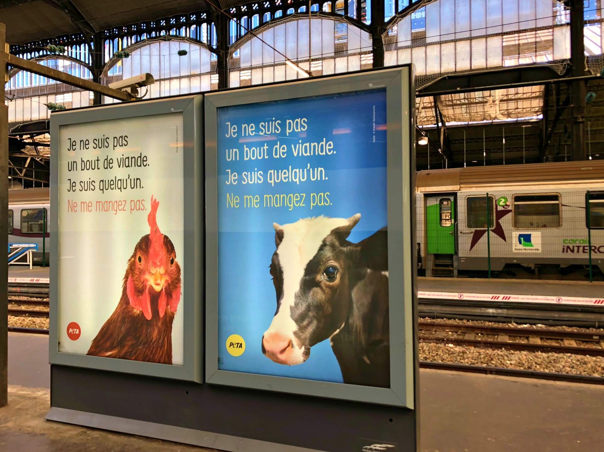 Droits des animaux : PETA lance une campagne gare saint-lazare