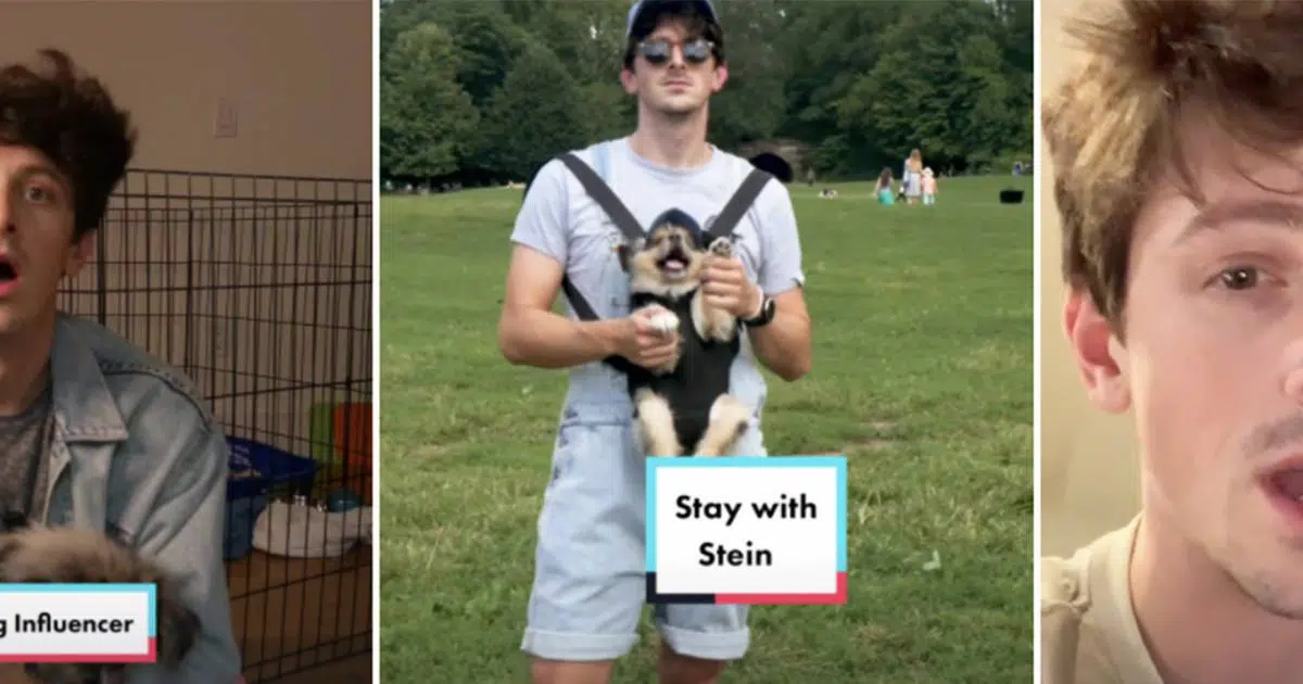 Comment le créateur Jack Usher a percé sur TikTok