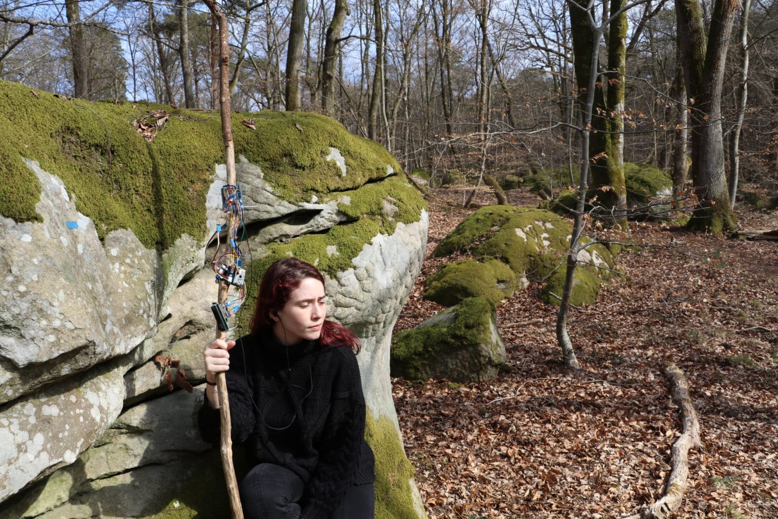 Qui sont les artistes qui explorent l'Internet des plantes