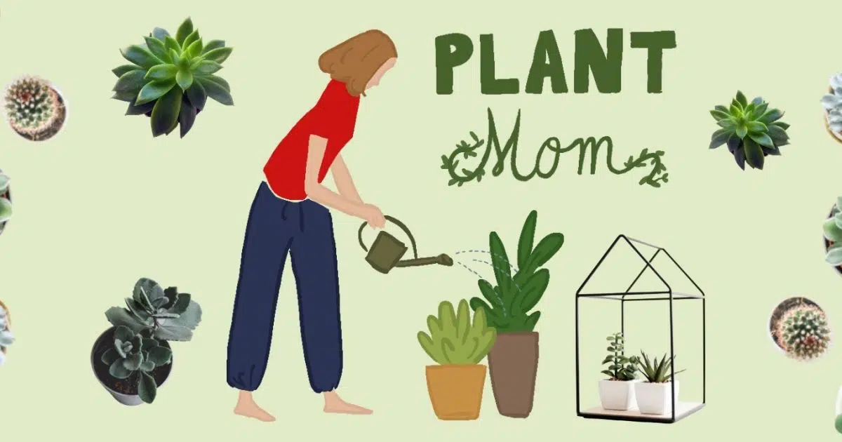 Qui sont les plant moms, ces influenceuses fanas de plantes vertes