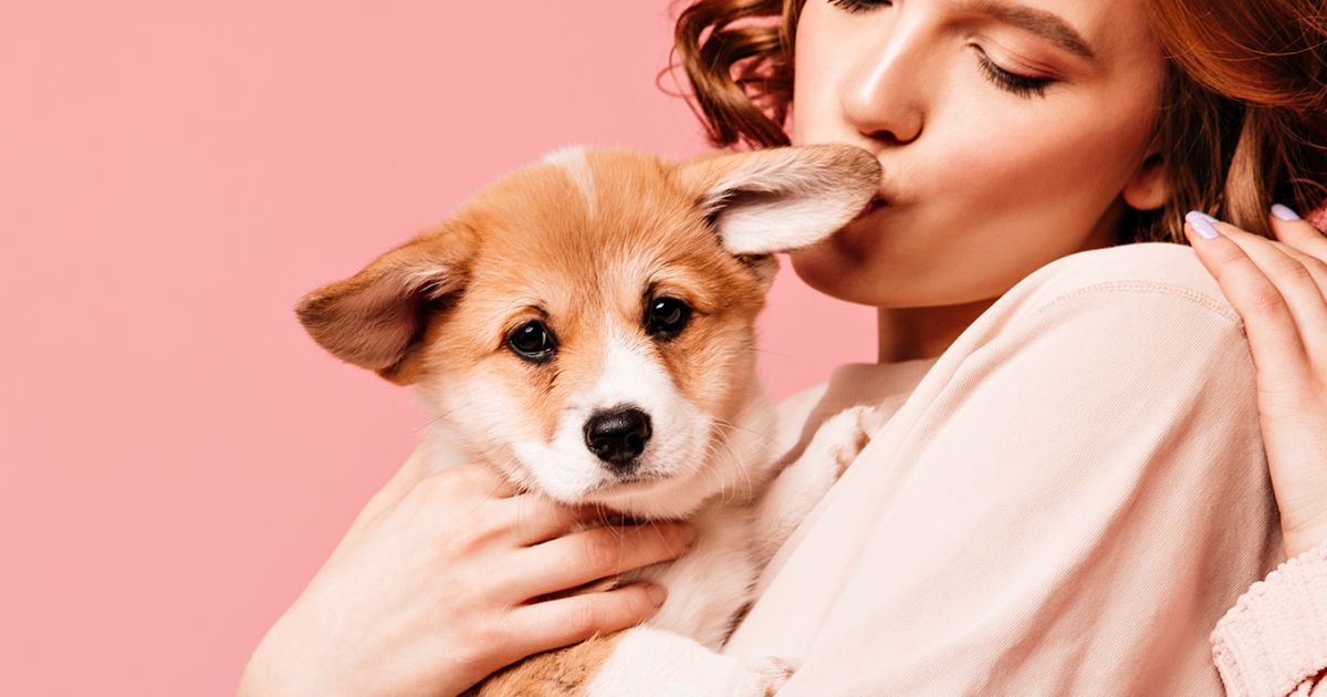 Explosion des Pet tech : Votre animal de compagnie est-il prêt